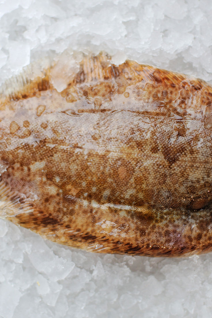 Sole Recipes: Sole Benoit, Fish Pie, Dover Sole - Great British Chefs