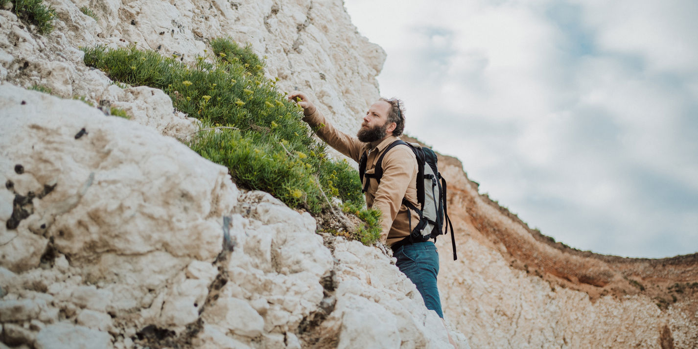 Isle of Wight Foraging Guide - Great British Chefs