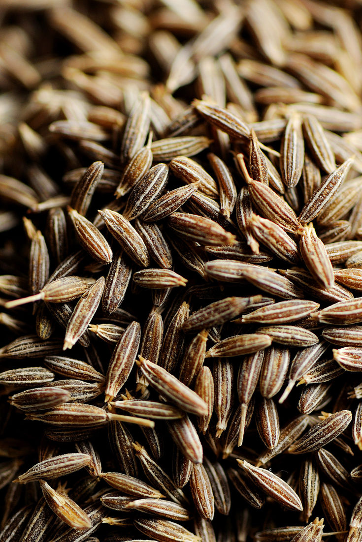 Cumin Recipes: Cumin Chicken, Cumin Paneer - Great British Chefs