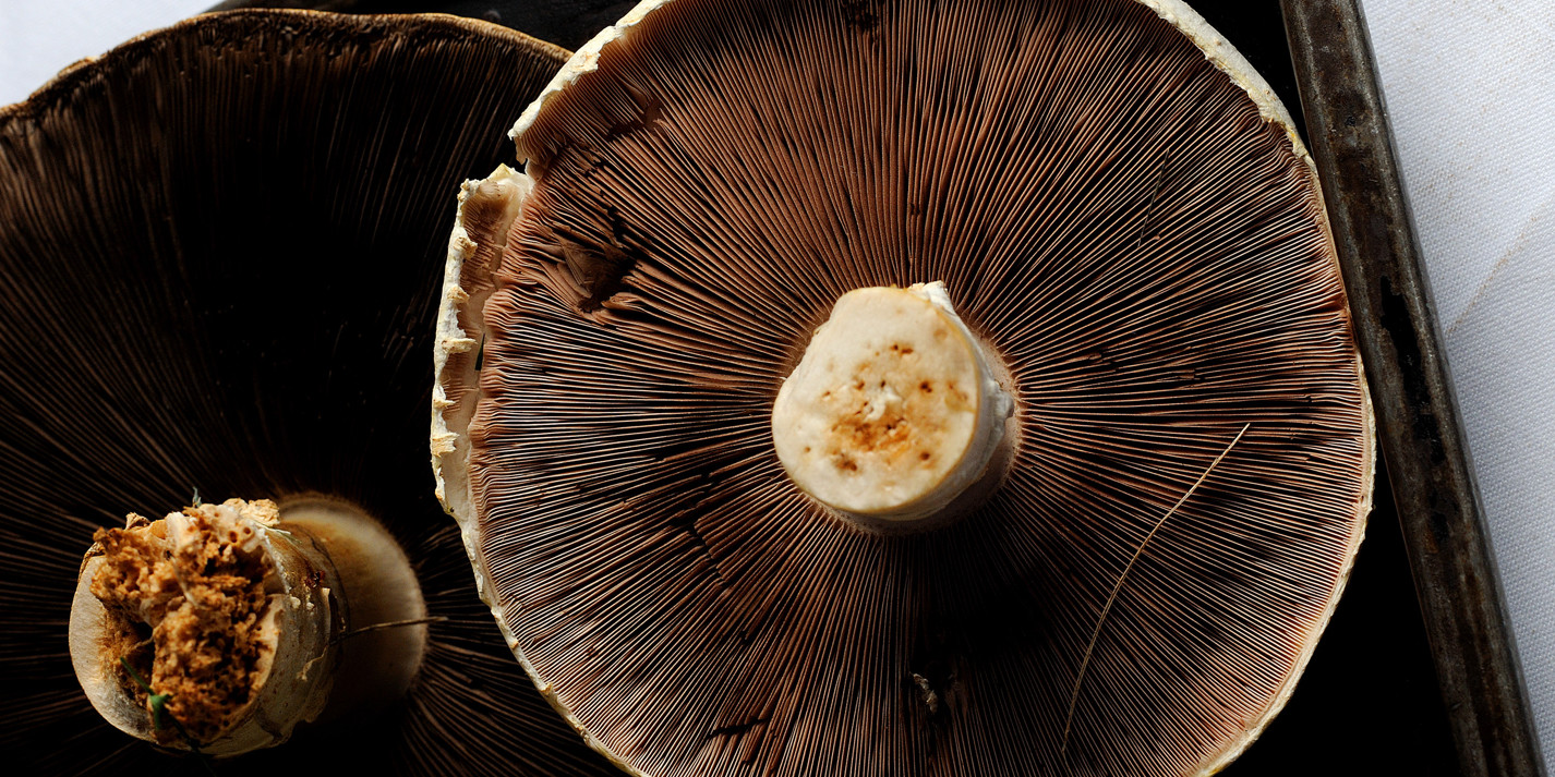 Mushroom Recipes - Great Italian Chefs