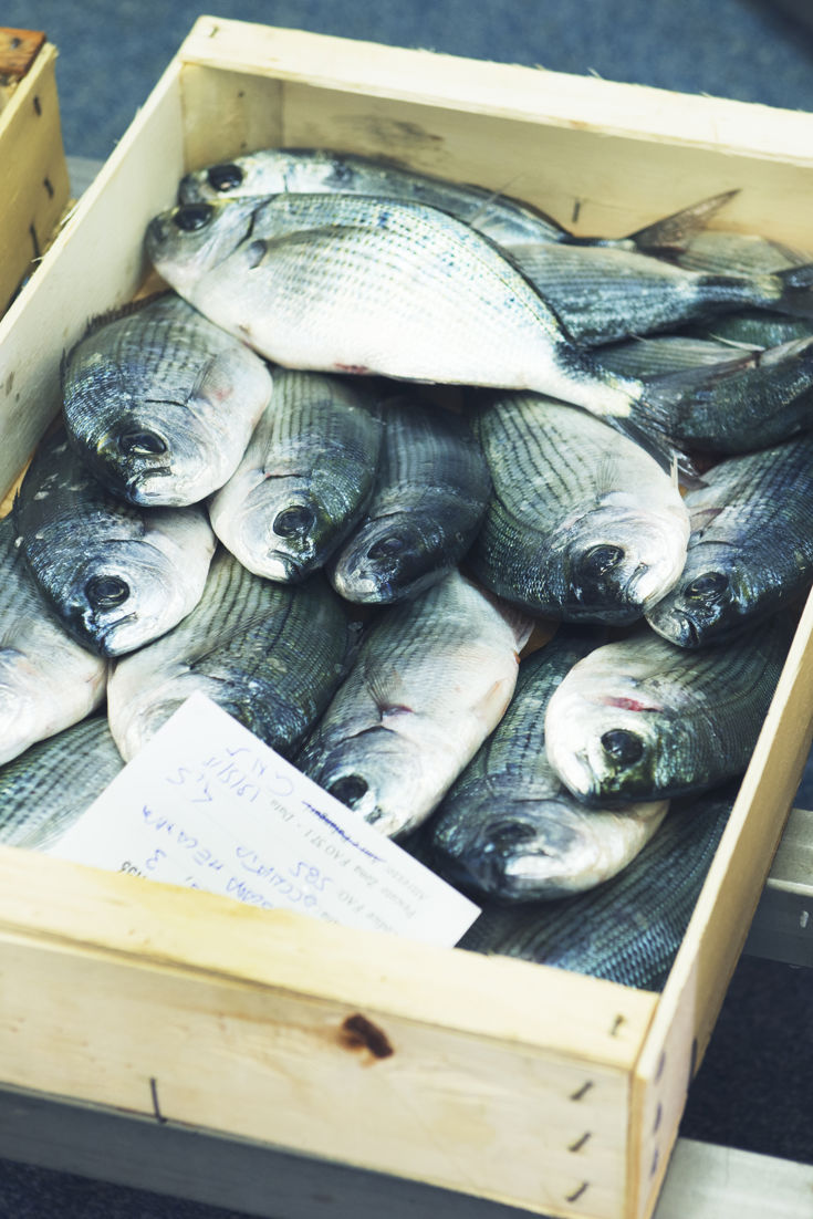 How to Cook Fish and Seafood - Great British Chefs