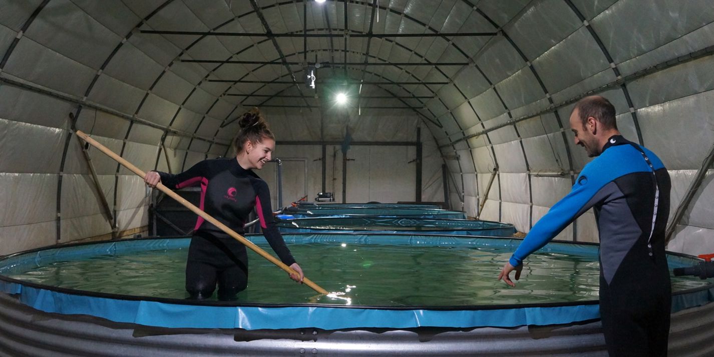 The World’s First No-kill Caviar Farm - Great British Chefs