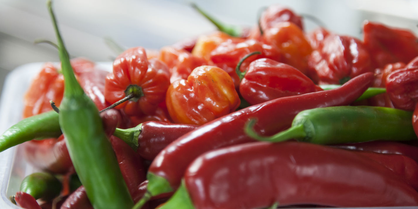 How to Cook Wiith Chilli - Great British Chefs
