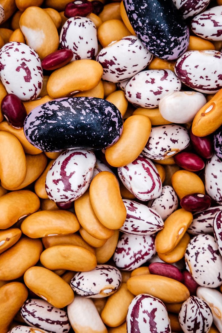 Spilling the Beans: A Guide to the Ultimate Legume - Great British Chefs