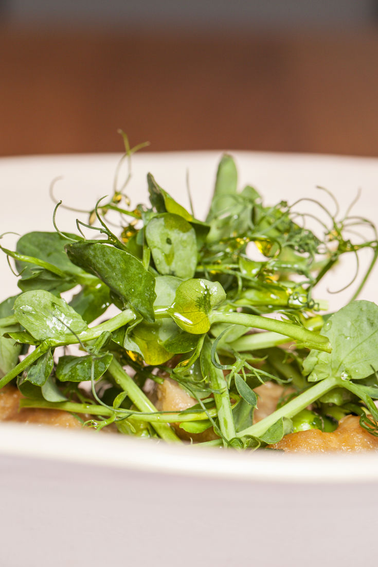 Pea Shoot Recipes - Great British Chefs