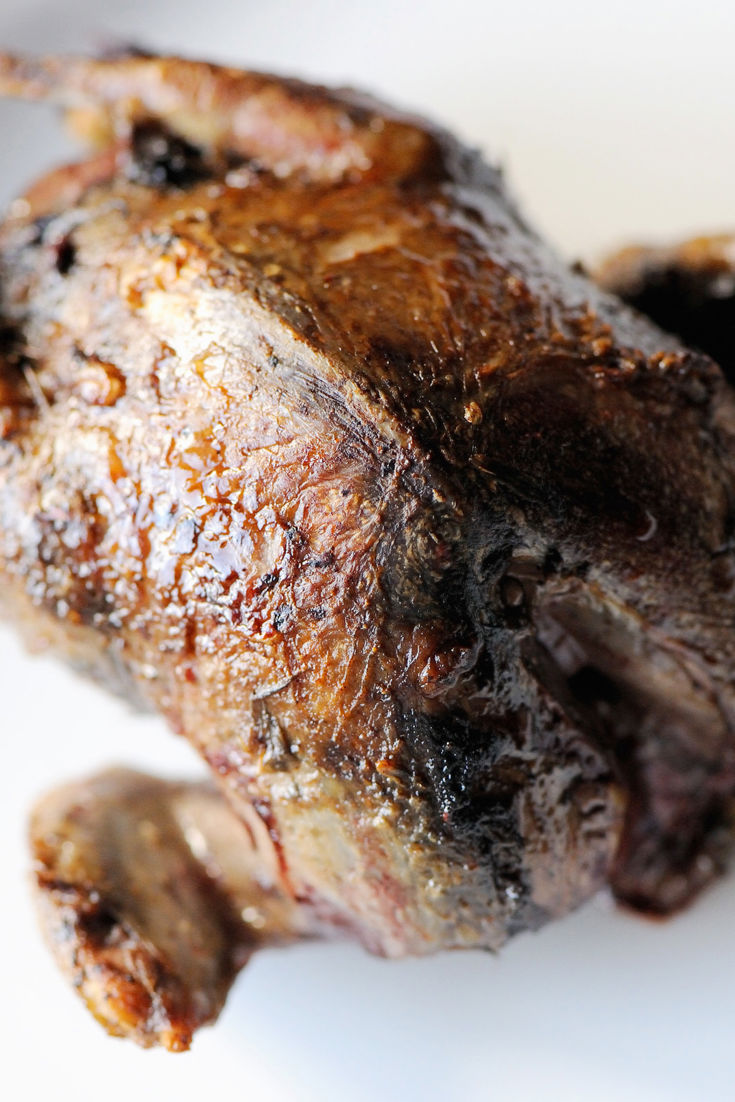 Pigeon Recipes: Squab Pigeon, Wood Pigeon - Great British Chefs