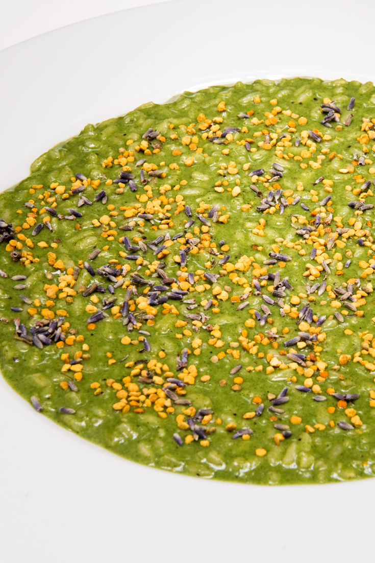 Nettle Risotto Recipe - Great Italian Chefs
