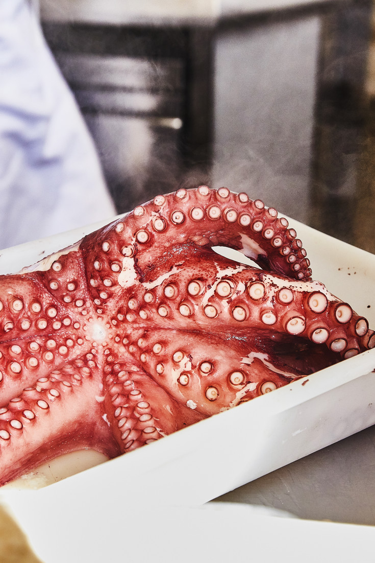 How To Cook Octopus - Great British Chefs
