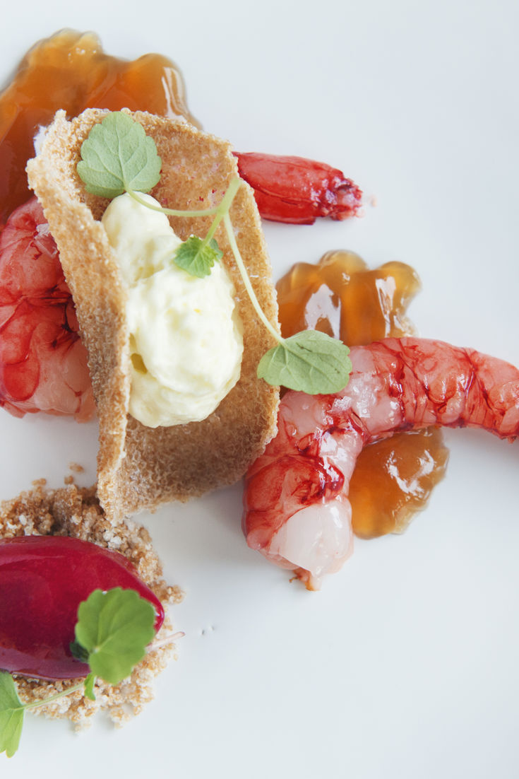 Red Prawns, Amaranth, and Beetroot Sorbet Recipe - Great Italian Chefs