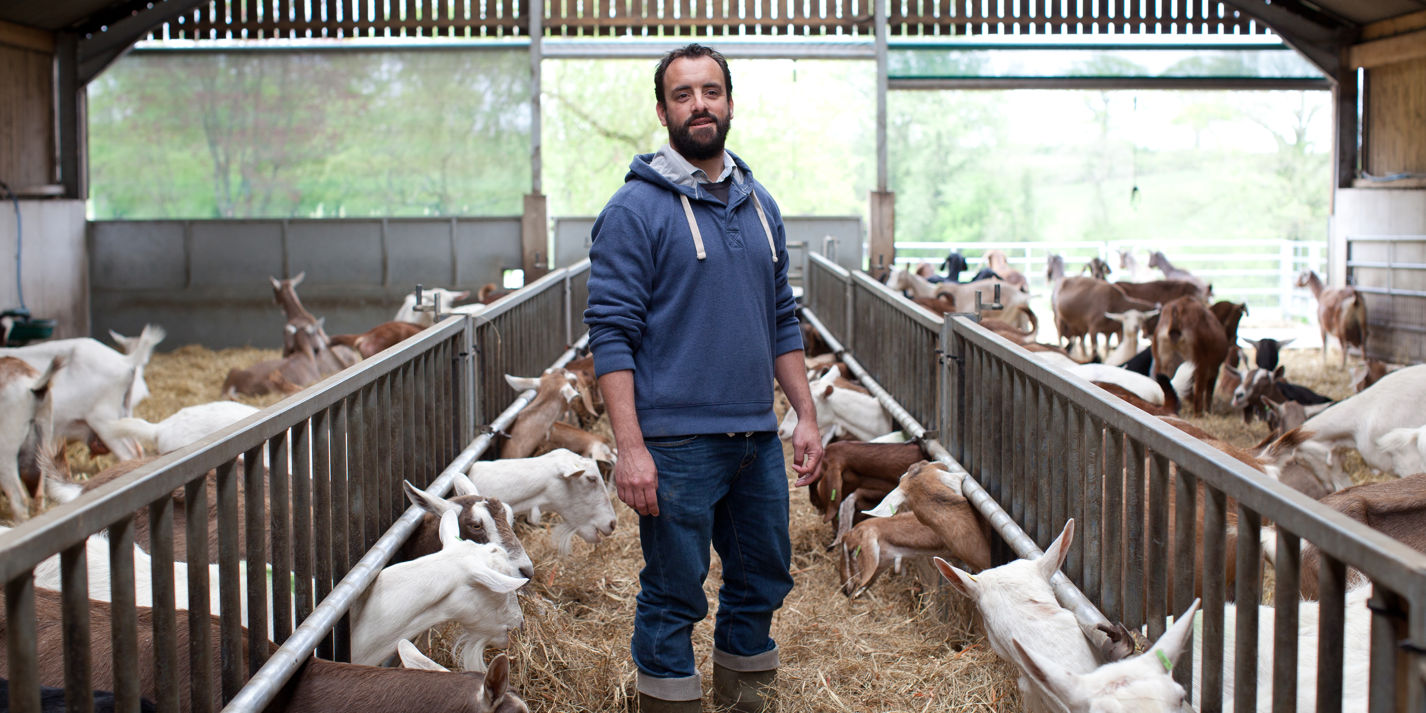 The Rise of British Goat Meat - Great British Chefs