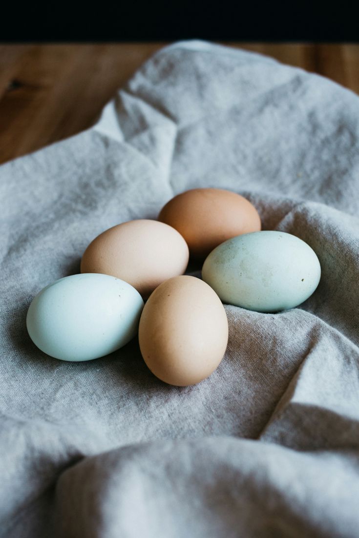 A Comprehensive Guide to Eggs: from Ostrich to Emu - Great British Chefs