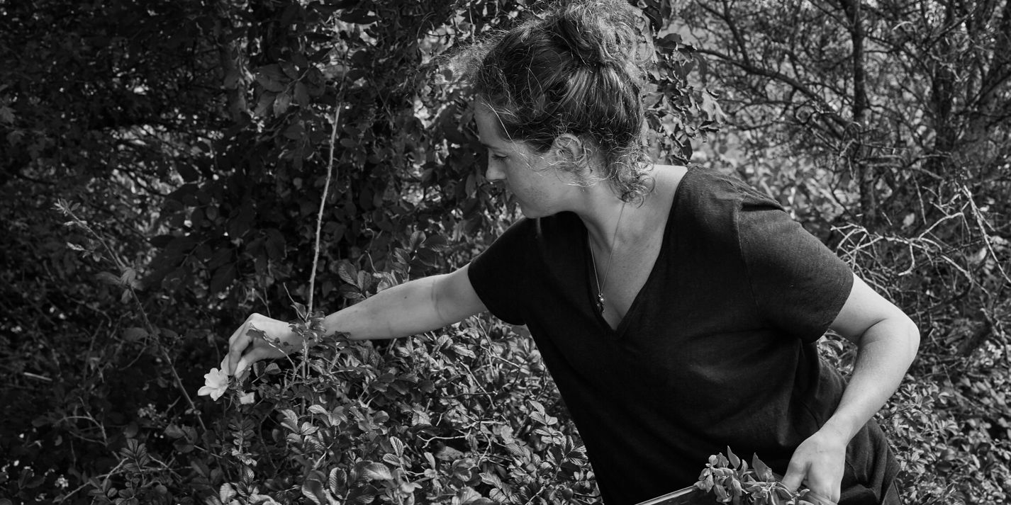 Harriet Mansell, Chef at Lilac - Great British Chefs