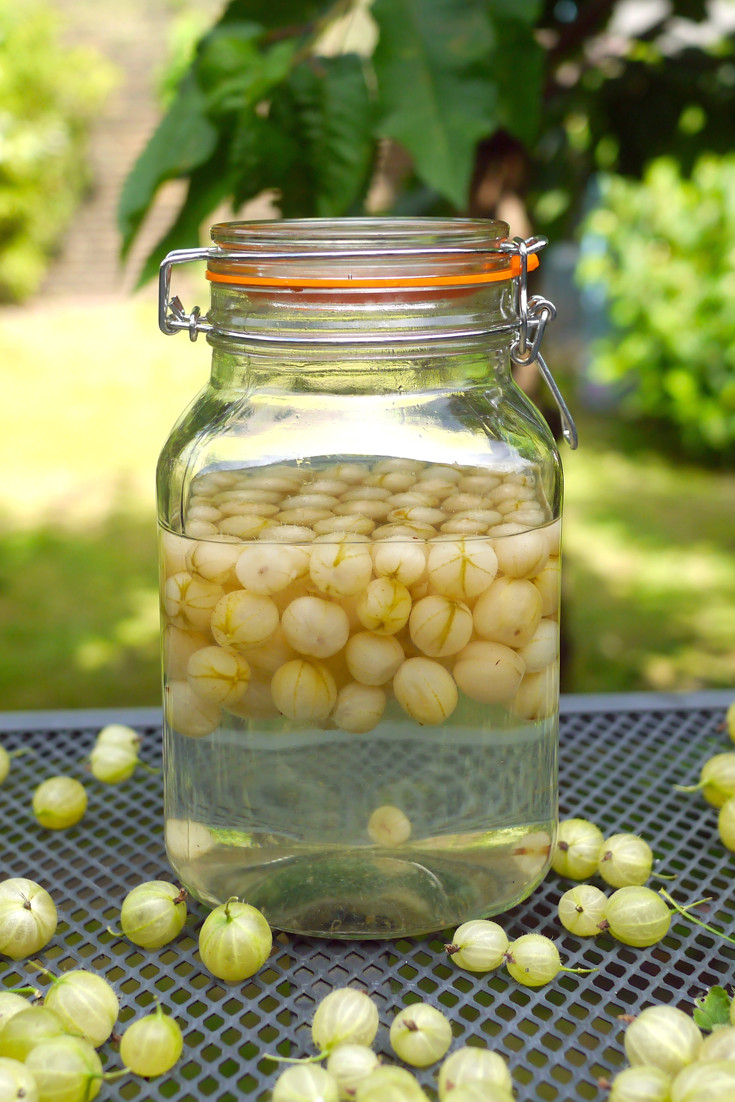 Gooseberry Gin Recipe - Great British Chefs