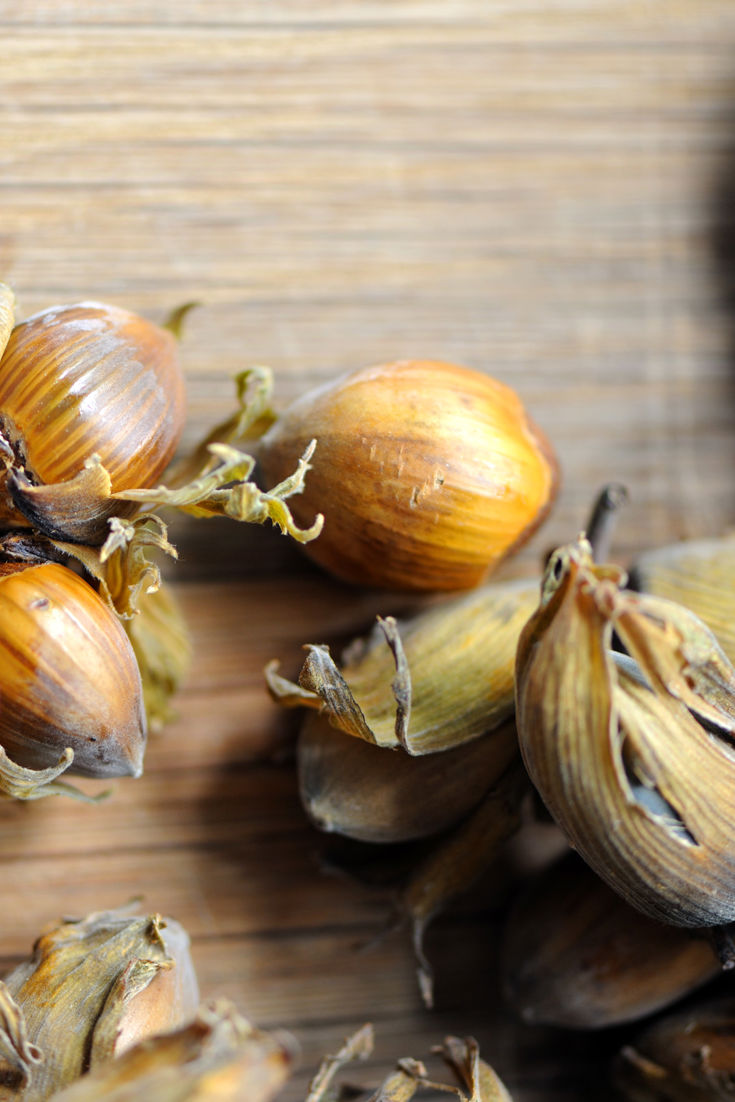 Cobnut Recipes - Great British Chefs