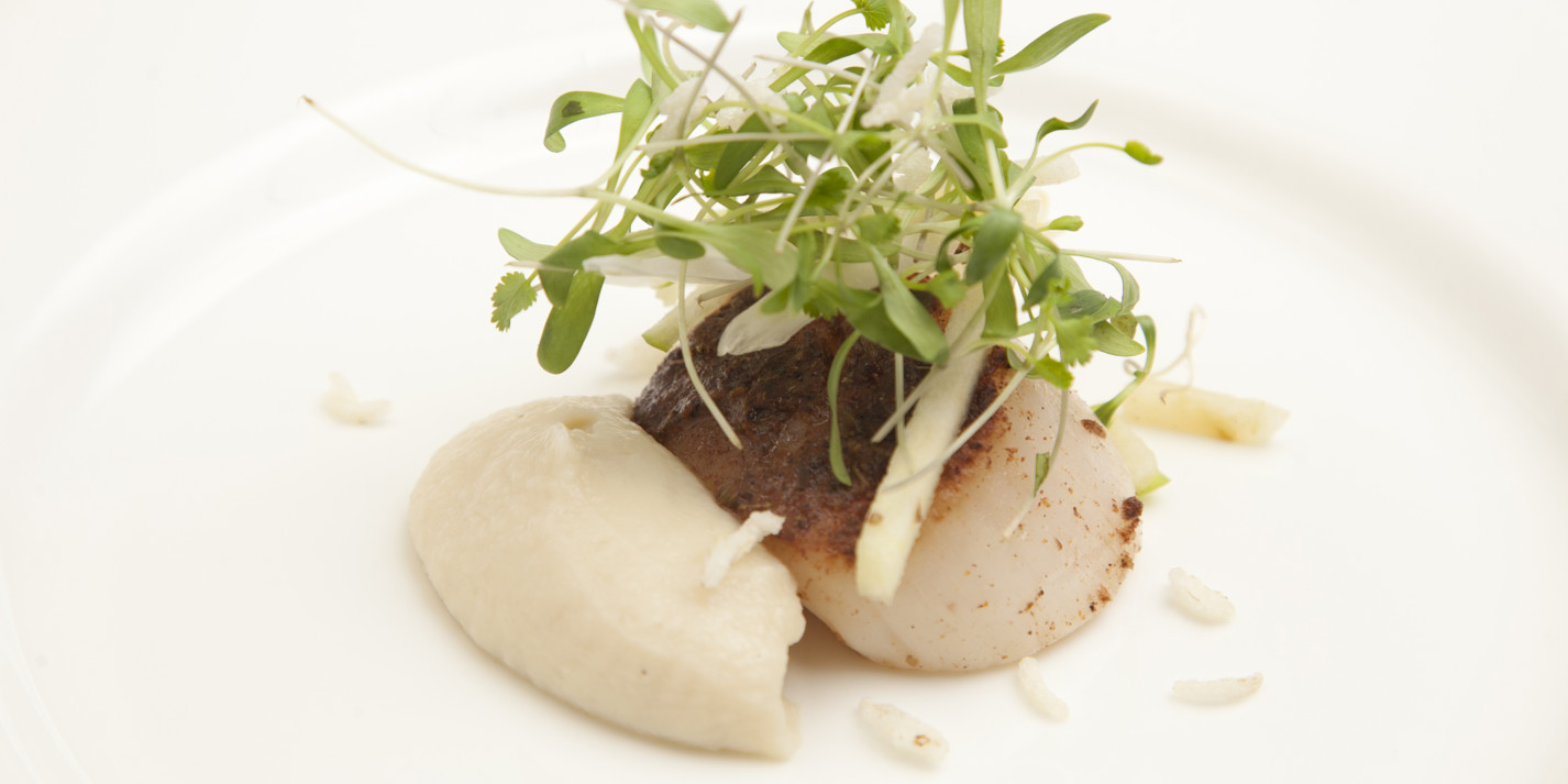 Spiced Scottish Scallops Recipe - Great British Chefs