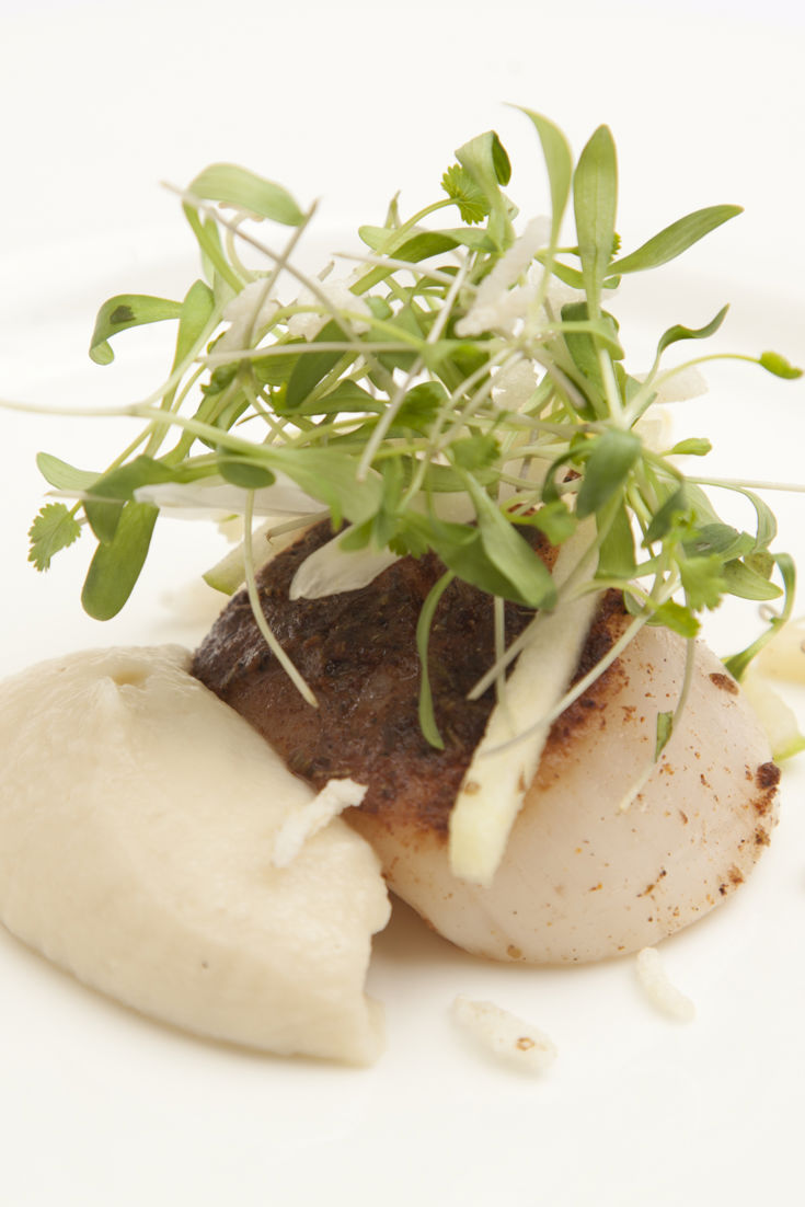 Spiced Scottish Scallops Recipe - Great British Chefs