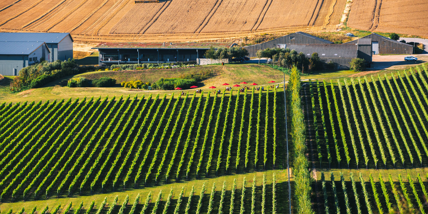 Rathfinny - Great British Chefs