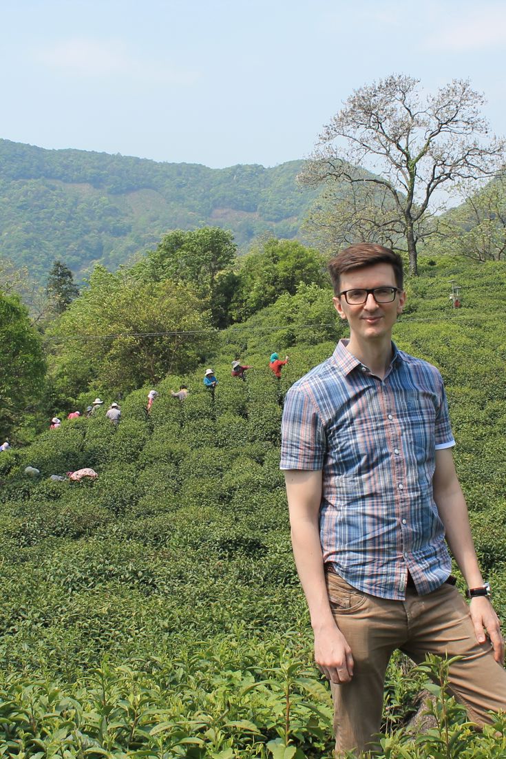 The Tea Taster: Getting The Most Out Of Your Leaves - Great British Chefs