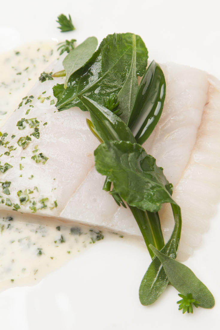 Sous Vide Brill with Fish Fumet Recipe - Great British Chefs