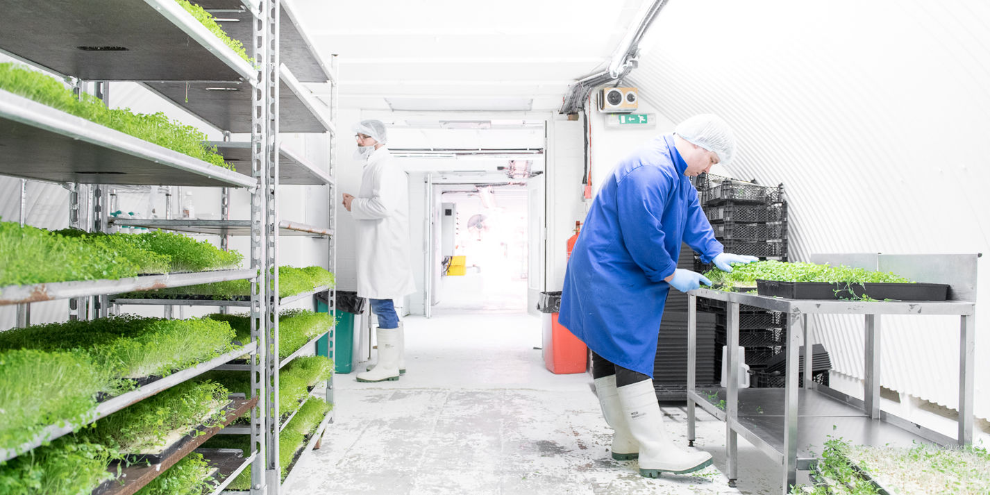 Growing Underground: Farming of the Future - Great British Chefs
