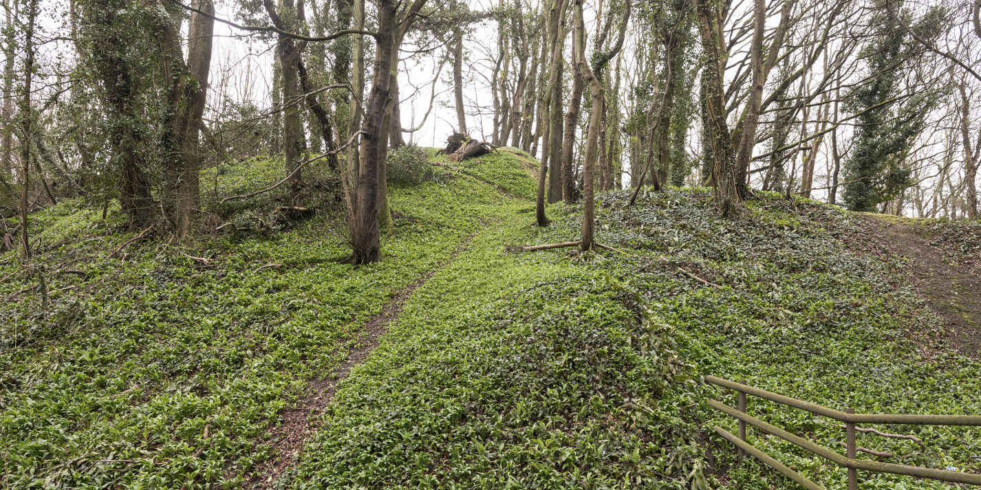 How To Forage Wild Garlic - Great British Chefs