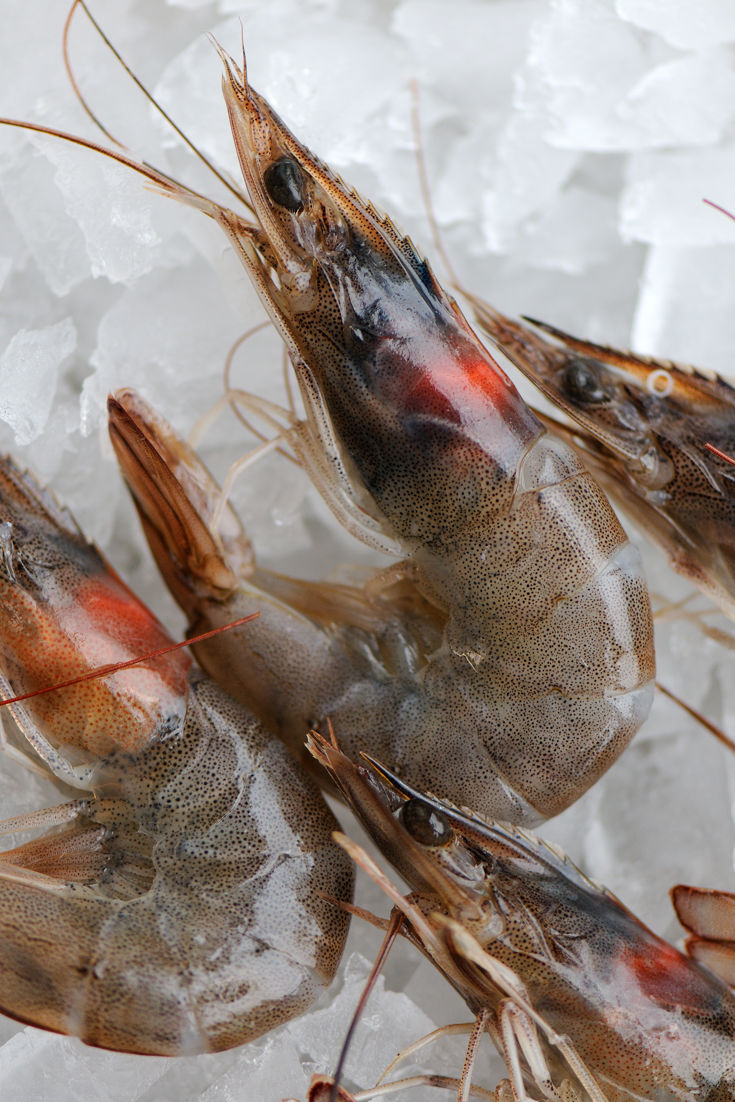 Prawn Recipes: Prawn Cocktail, King Prawn Kebabs - Great British Chefs