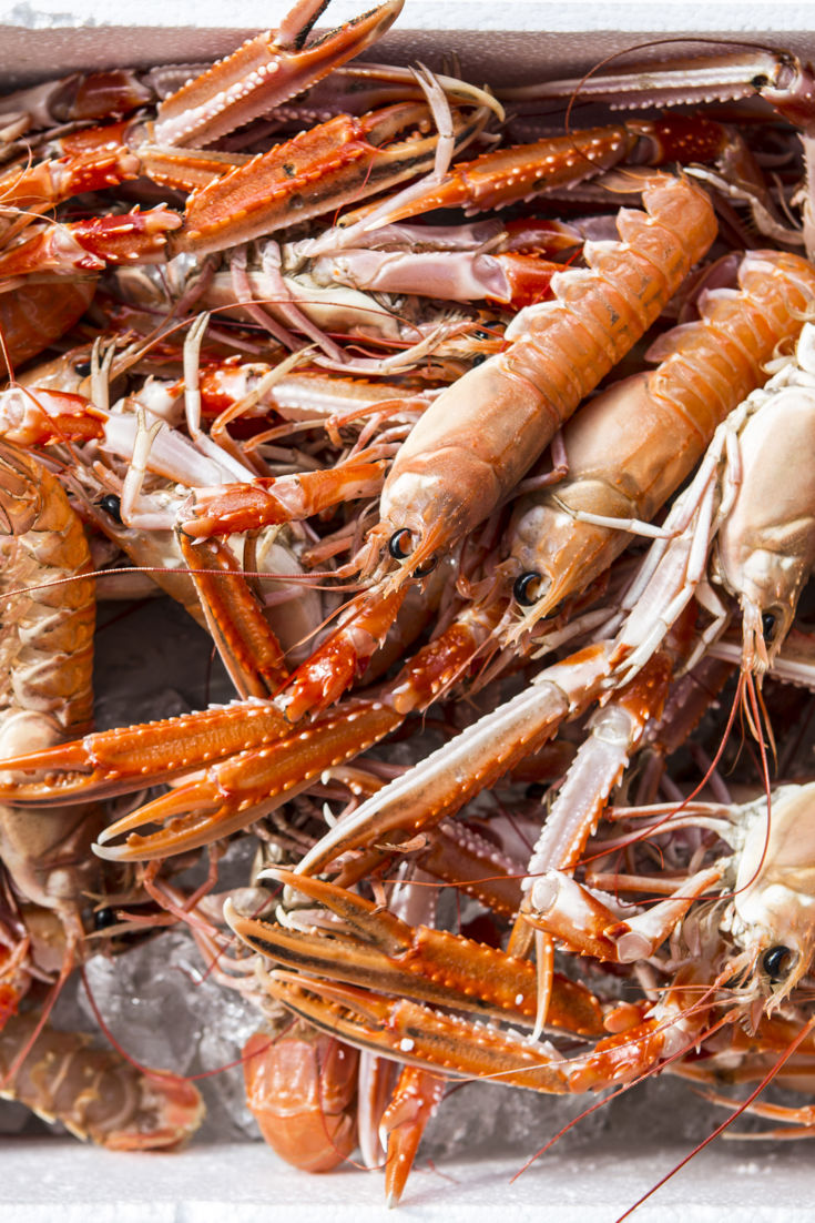 Langoustine Recipes - Great Italian Chefs