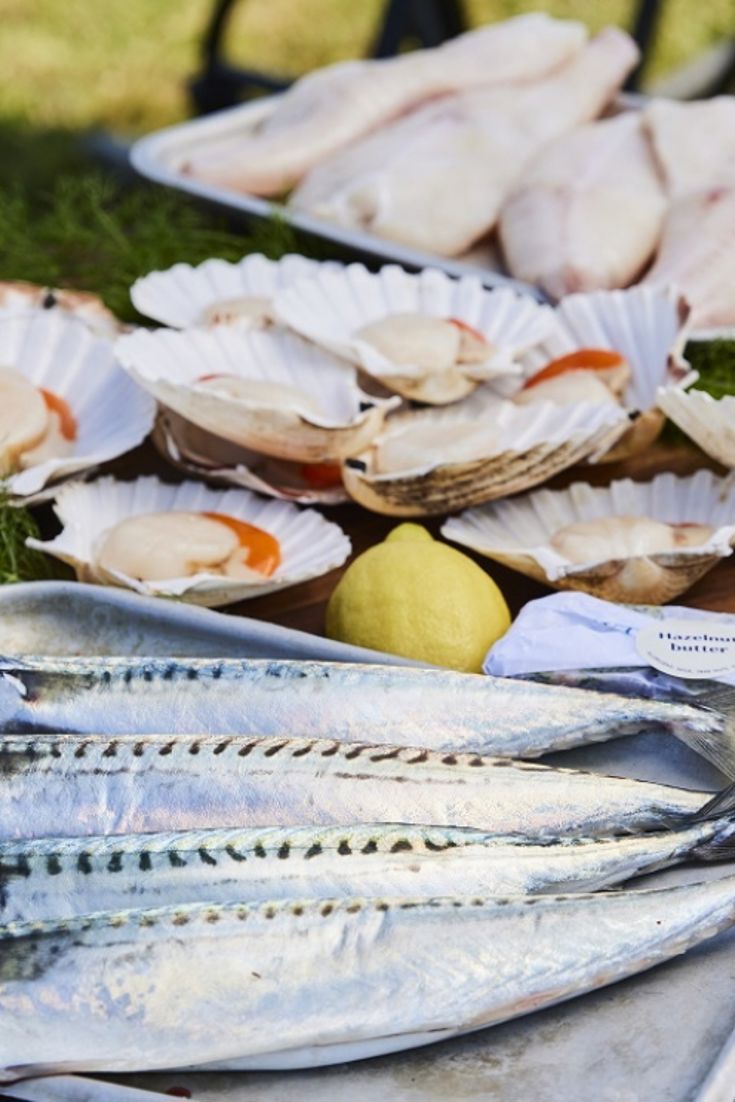 Instagram Exclusive: Win a Stein's Online Fishmongers Cornish Shores ...