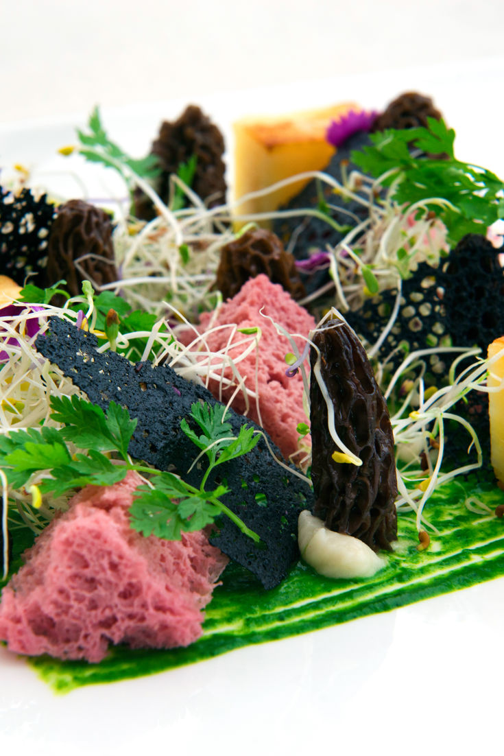 Morel Recipe with Salsify Purée - Great Italian Chefs