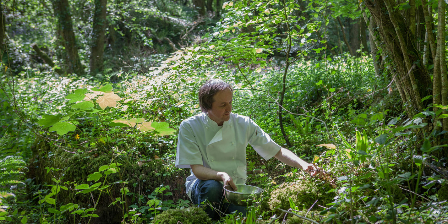 Foraging with Chris Harrod - Great British Chefs