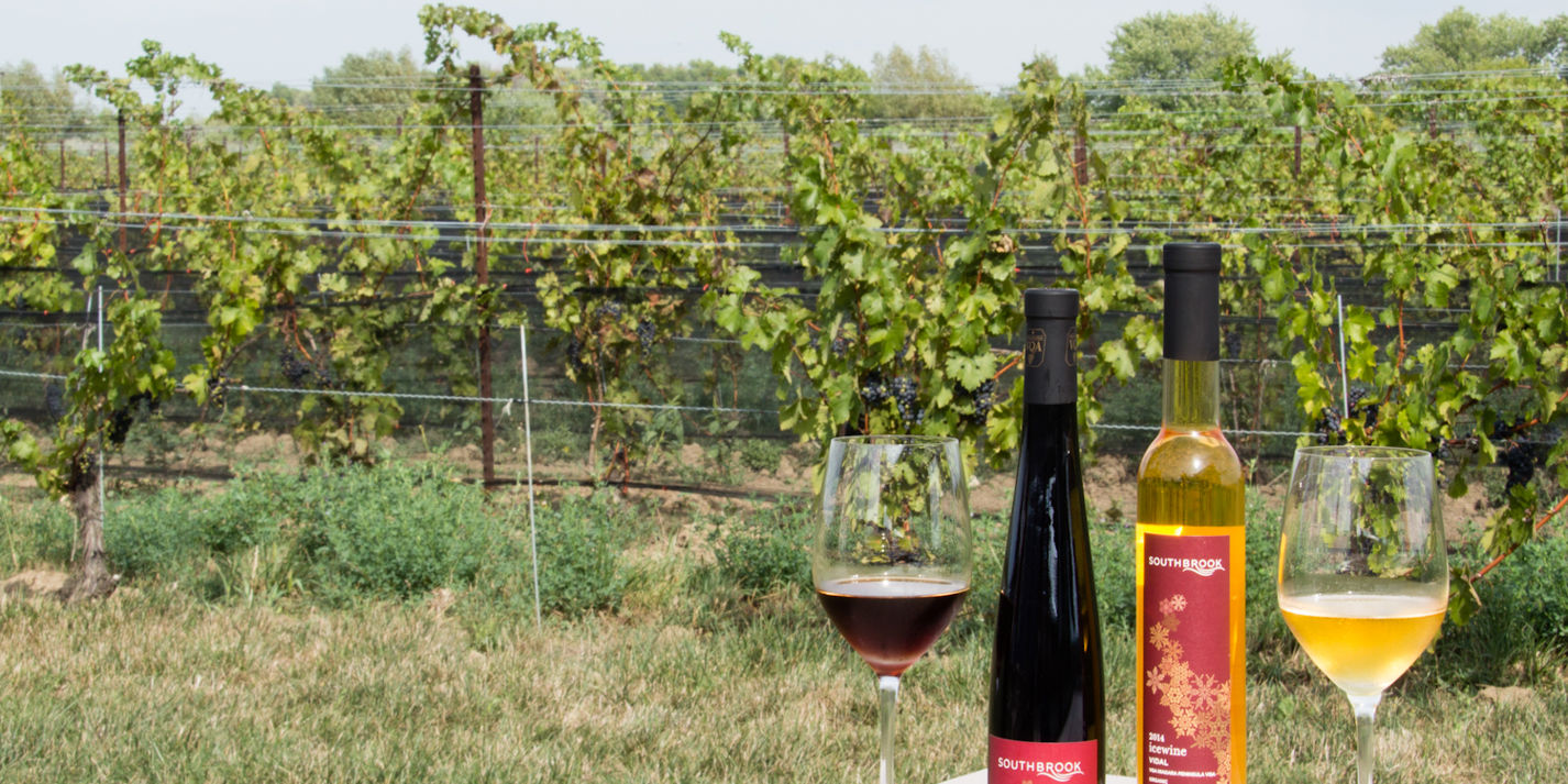 Canadian Ice Wine - Great British Chefs