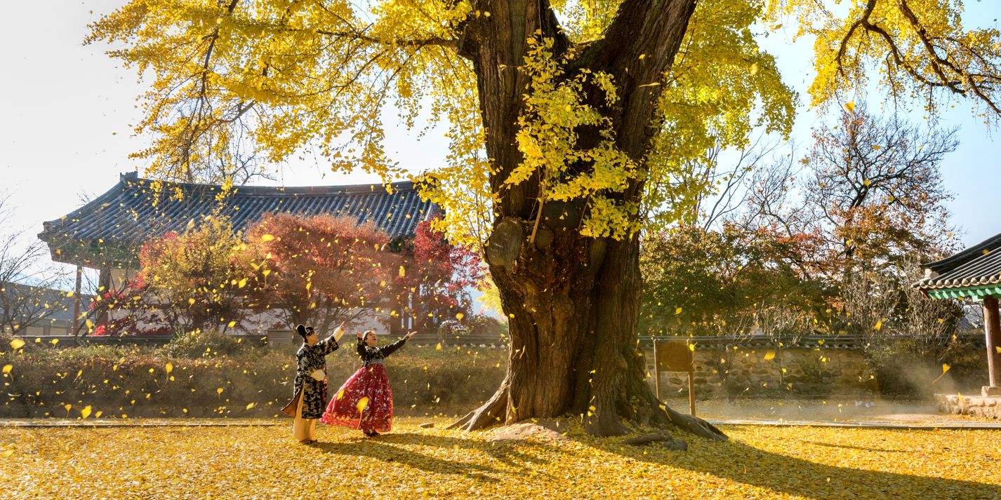 Chuseok: Korea’s Thanksgiving Harvest Festival - Great British Chefs