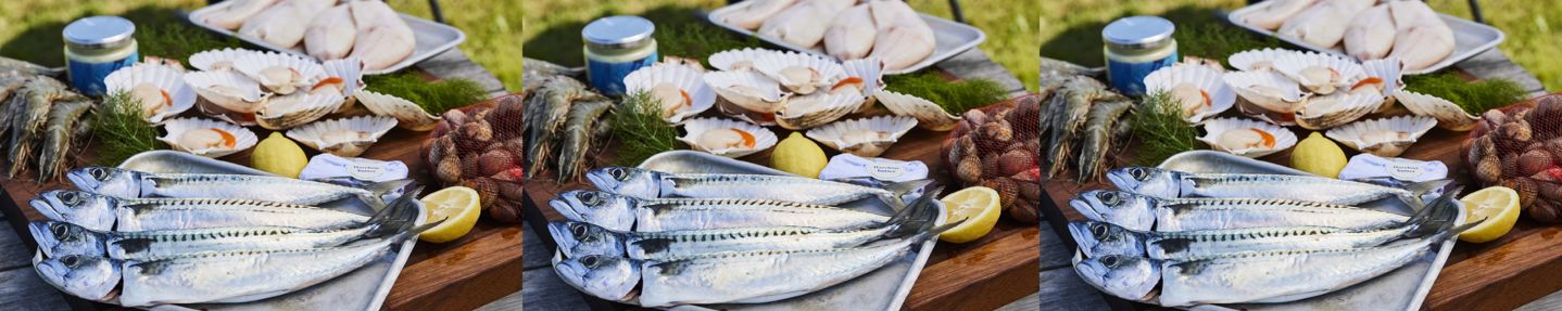 Instagram Exclusive: Win a Stein's Online Fishmongers Cornish Shores ...