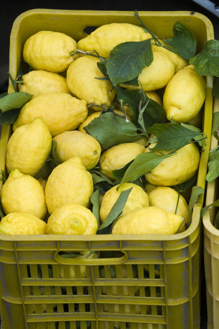 Lemon Recipes - Great Italian Chefs