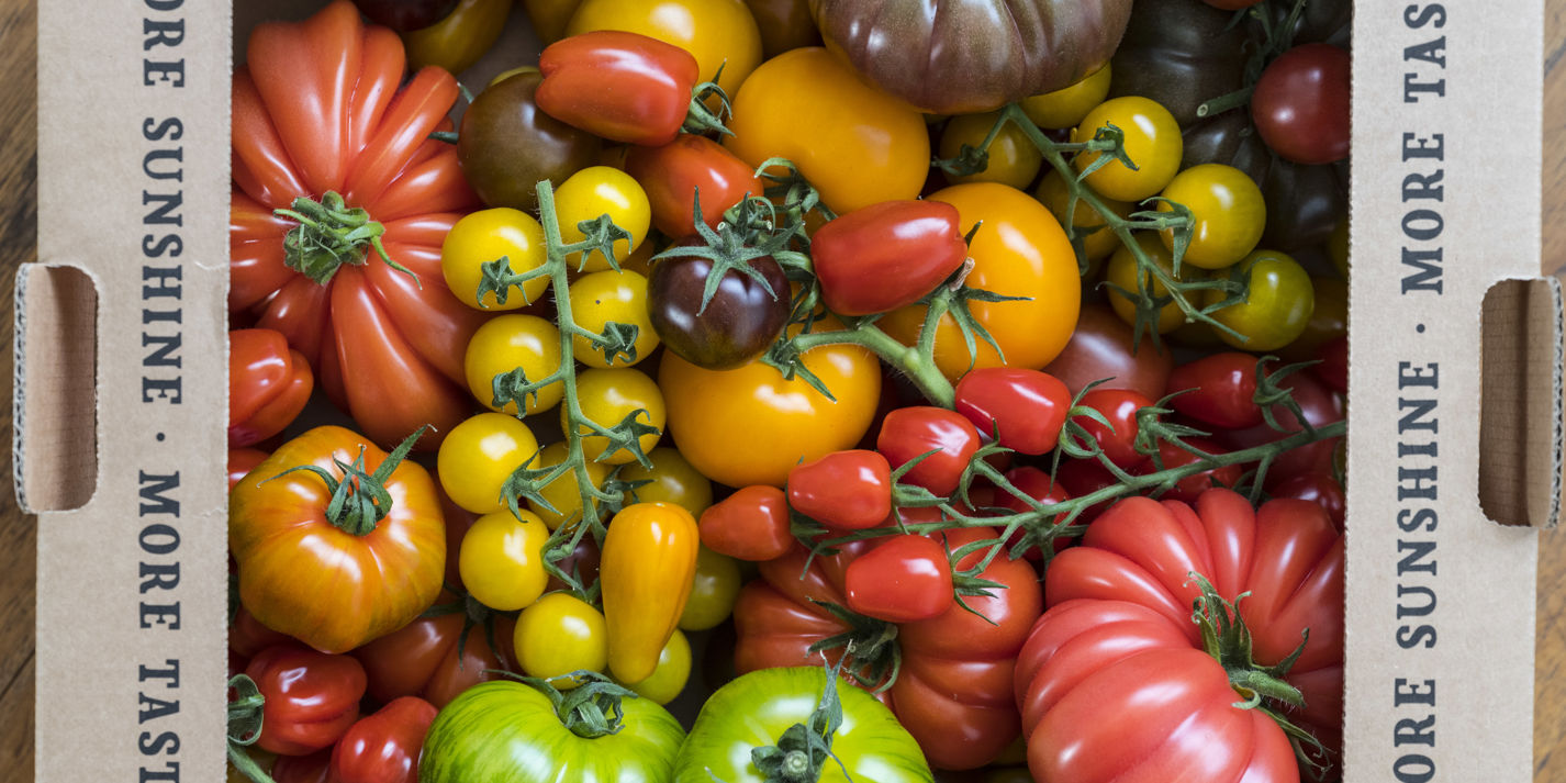 Sunshine fruit: The Isle of Wight’s Incredible Tomatoes - Great British ...