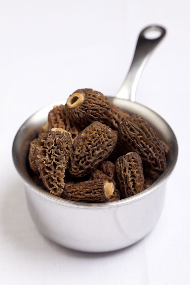 Morel Recipes - Great British Chefs
