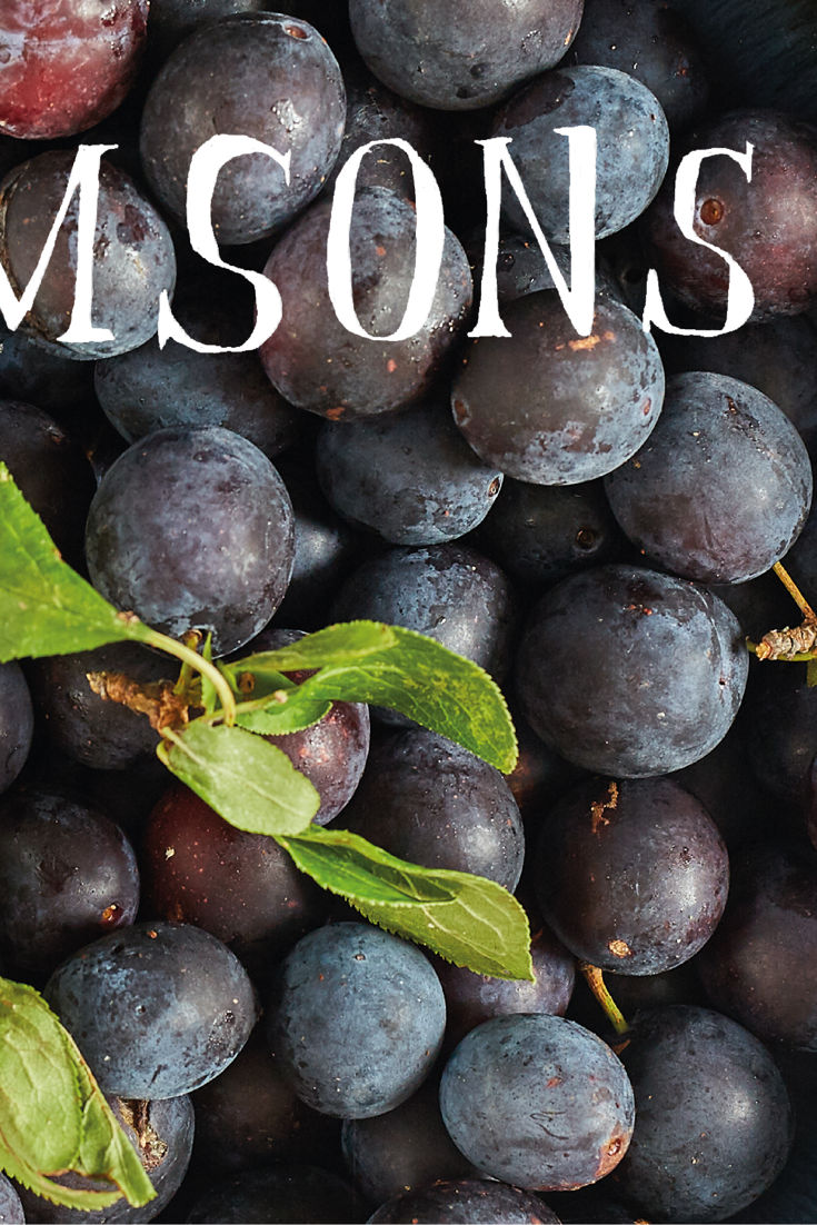 Sam Buckley: On Damsons - Great British Chefs