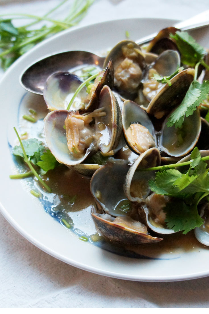 Steamed Clams and Miso Recipe - Great British Chefs