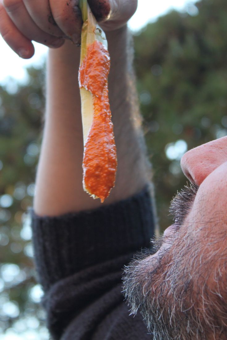 The Calçot: Catalonia’s Most Well-loved Delicacy - Great British Chefs