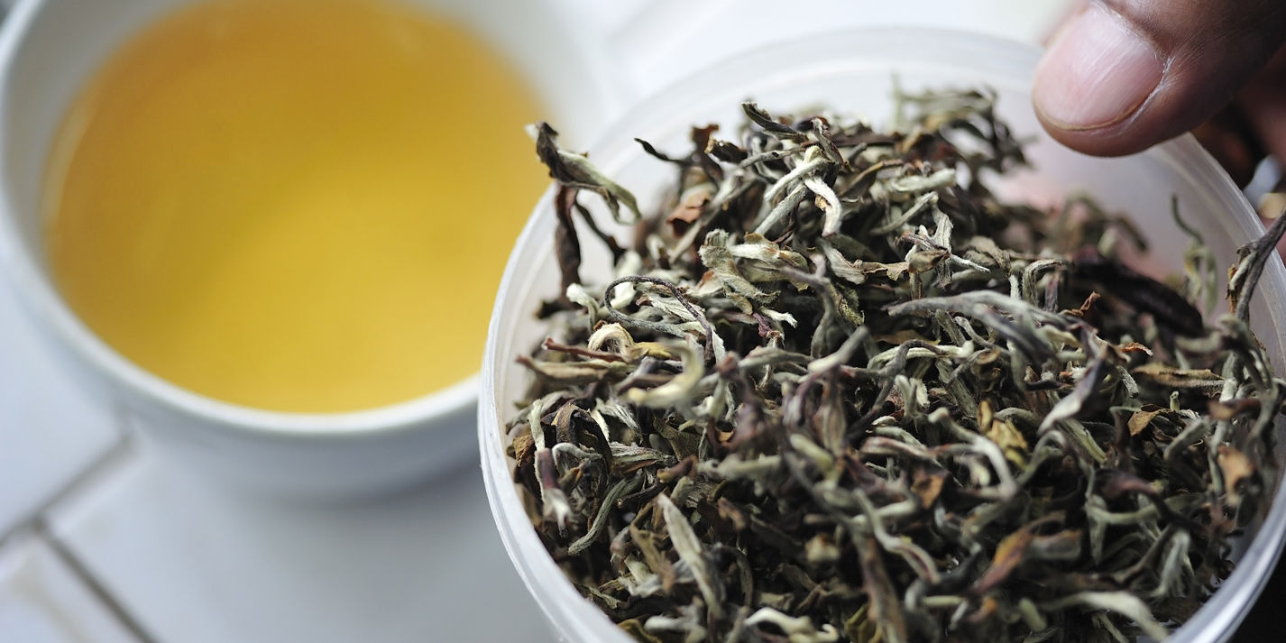 JING: In Search of The Best Darjeeling Tea - Great British Chefs